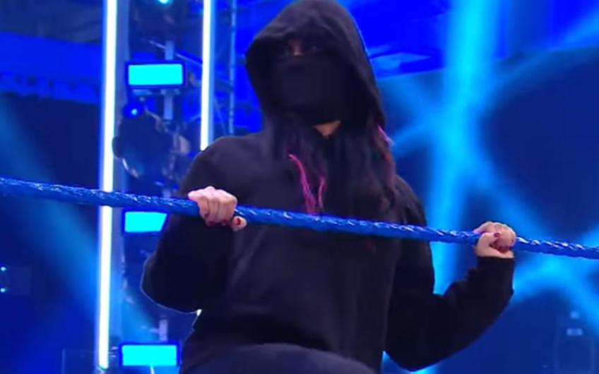 L'identité de deux membres de la WWE Retribution révélée probablement ...